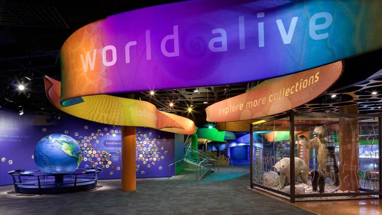 Welcome Program - Discovery Place Science Museum