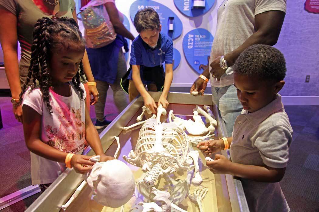 Group Visits - Discovery Place Science Museum