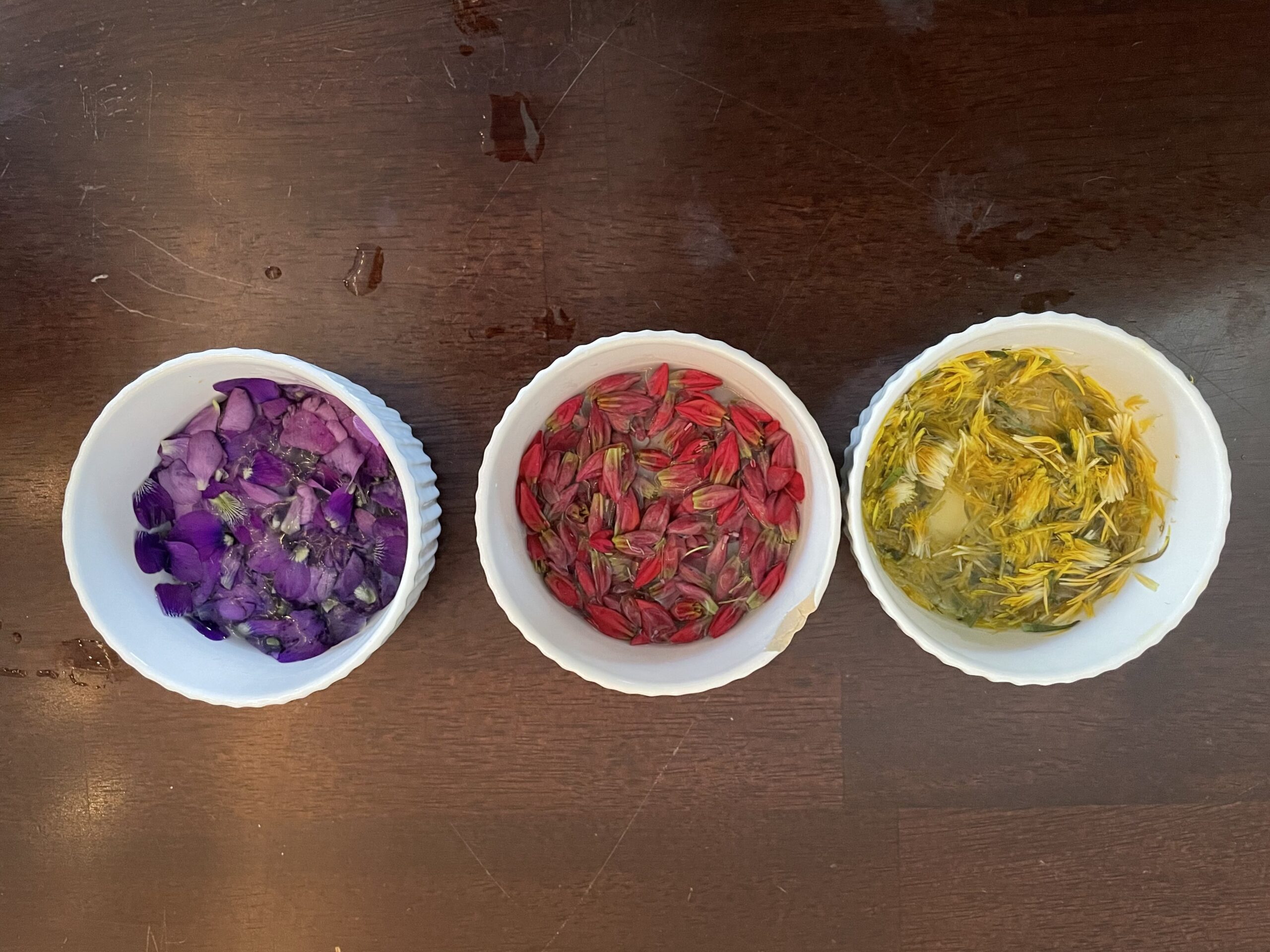 Use spring flowers to explore the science of pigments - Discovery Place ...