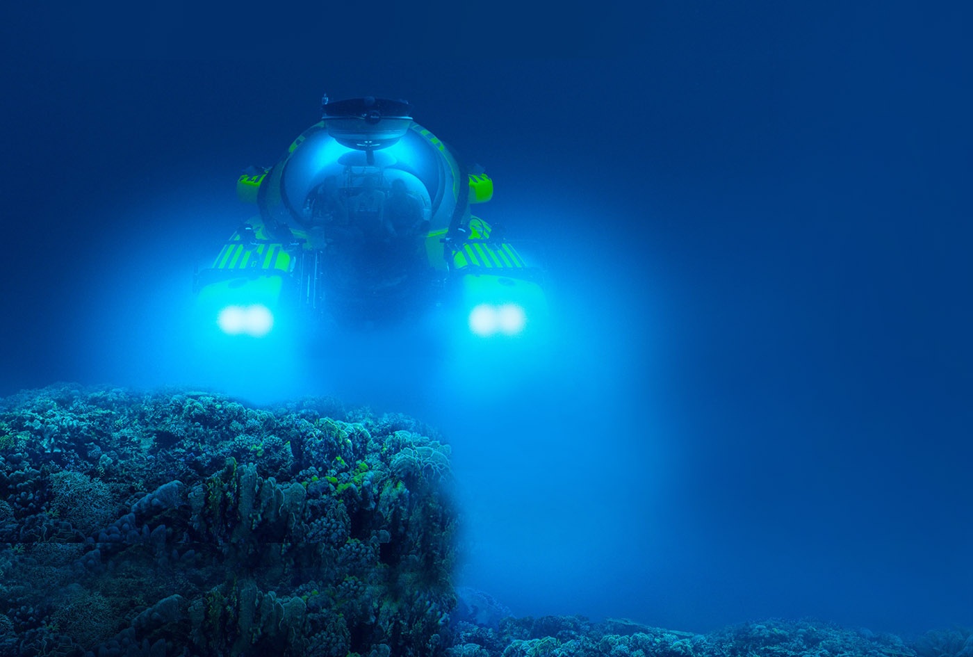 Five “Must-Sea” Creatures Inside Unseen Oceans - Discovery Place ...