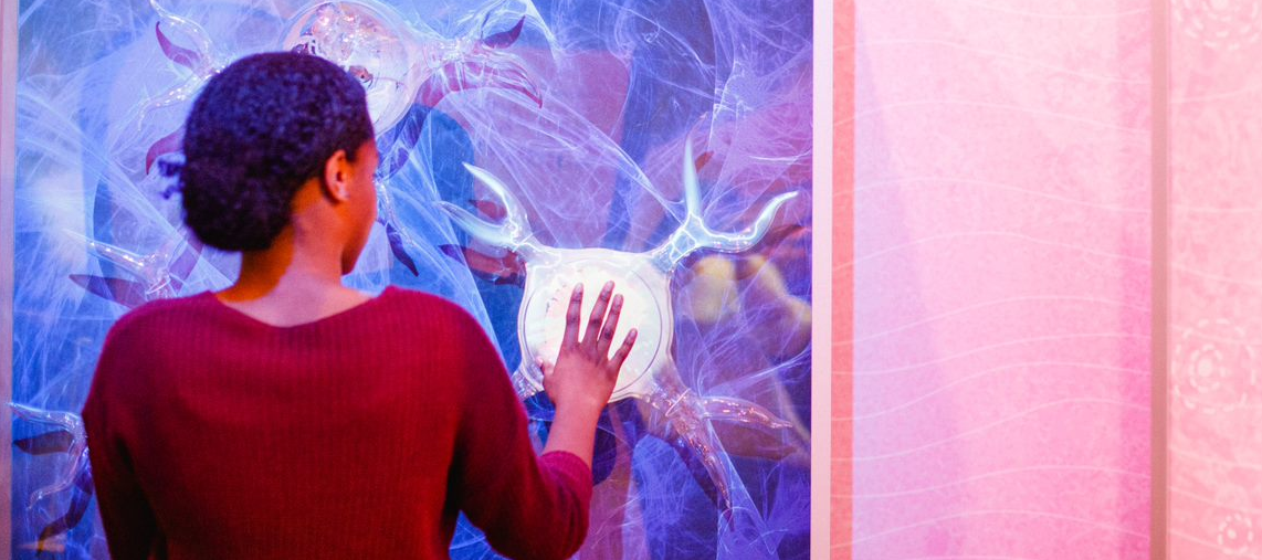 Things To Do - Discovery Place Science Museum