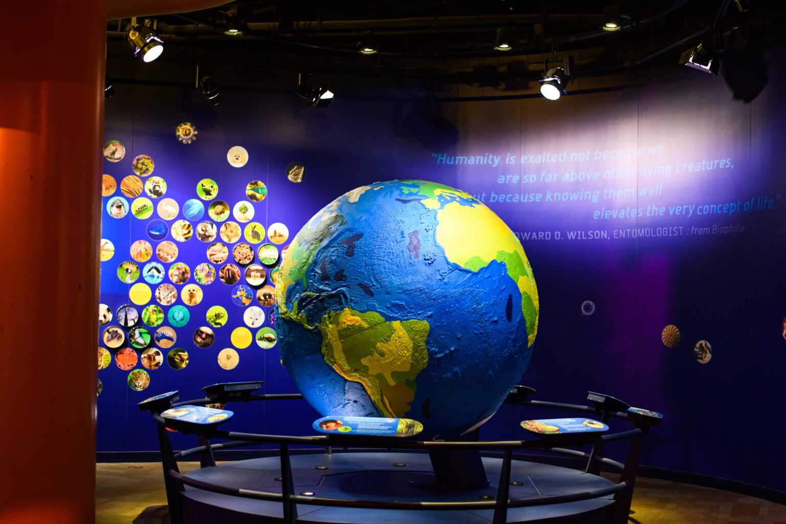 Home - Discovery Place Science Museum