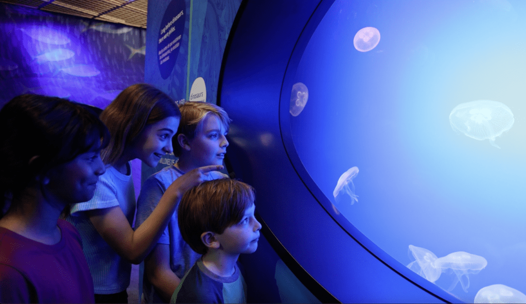 Classes - Discovery Place Science Museum