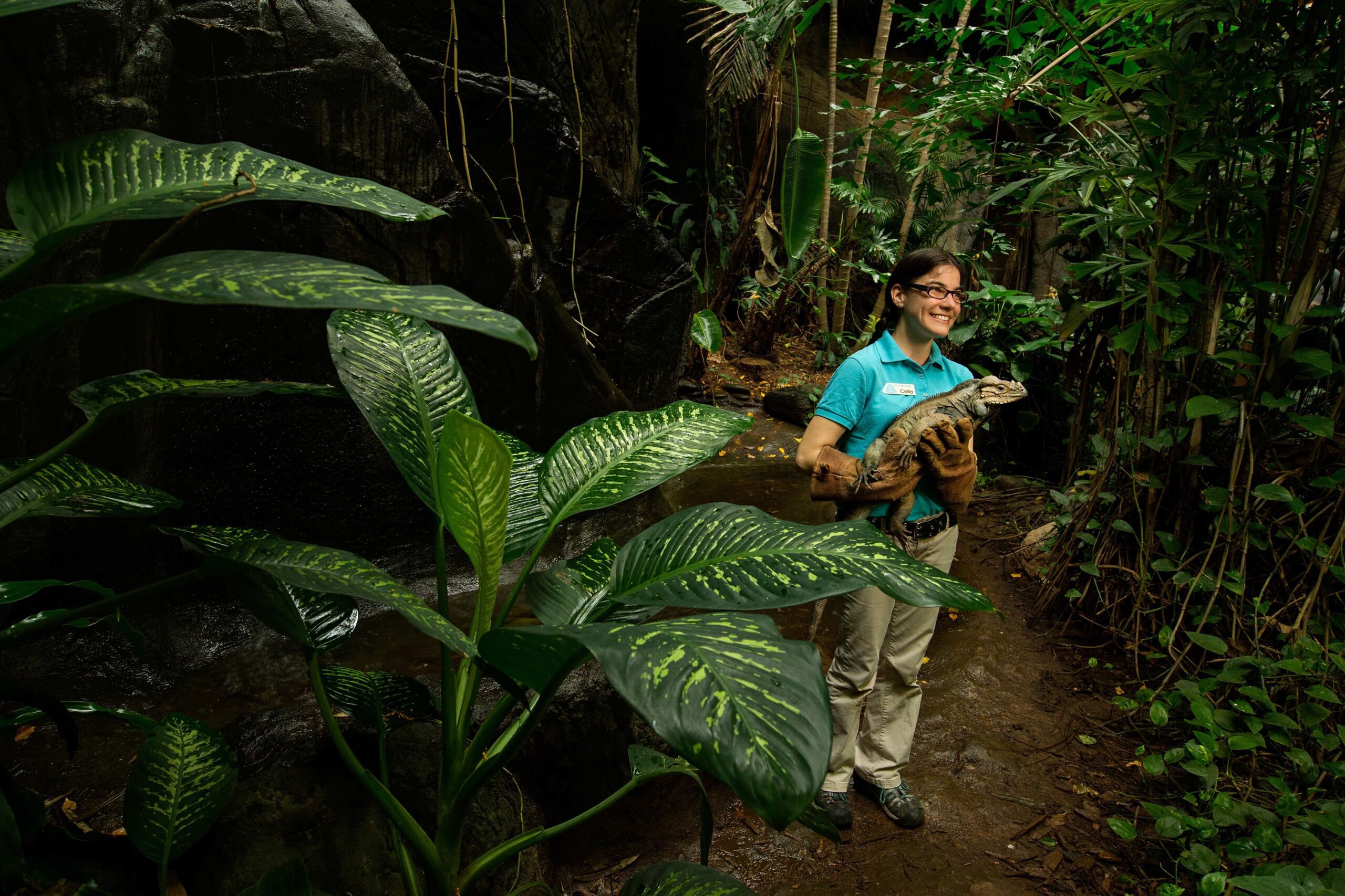 An Animal Lovers Guide to Discovery Place Science - Discovery Place ...