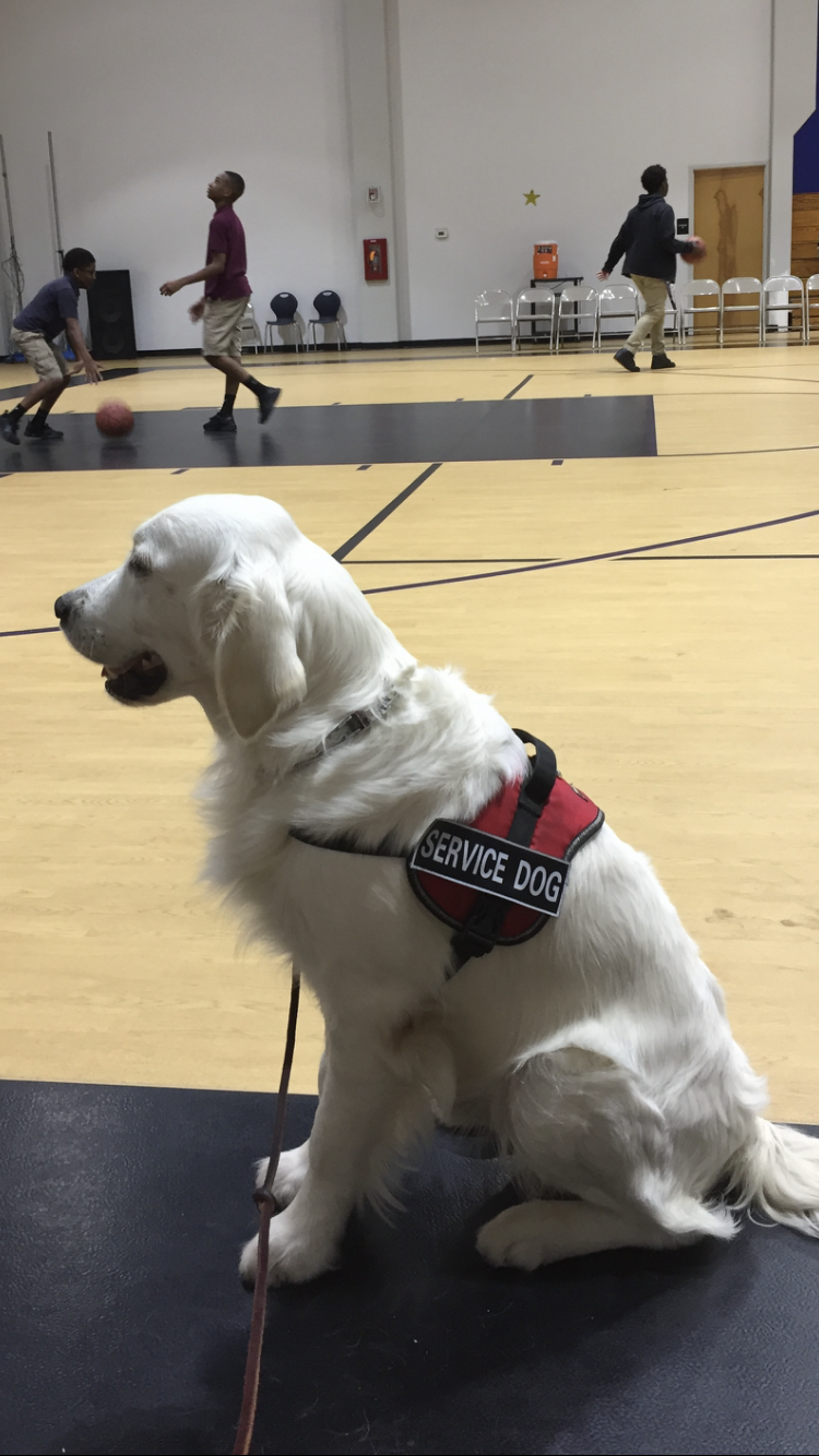 Charlotte's very own superpower dogs - Discovery Place Science Museum