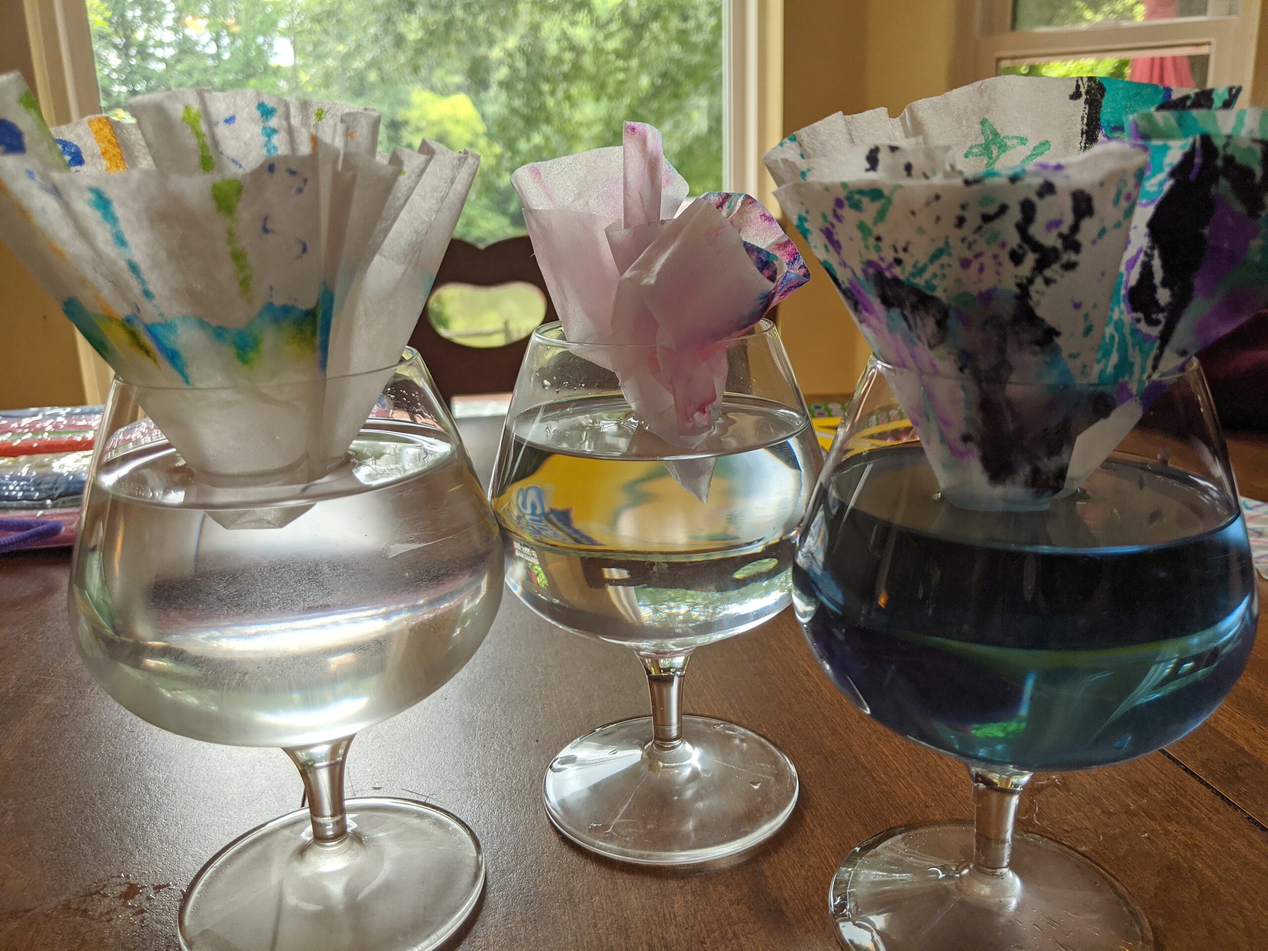 Colorful Capillary Action - Discovery Place Science Museum