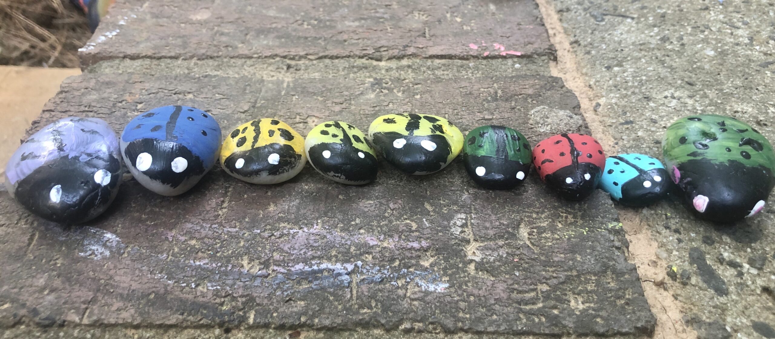 Pet rocks are a great way to combine creativity and added learning ...