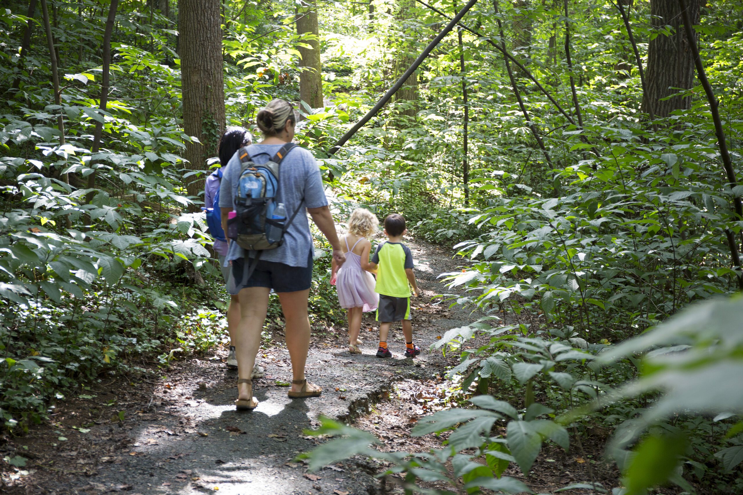 Guided Nature Walk - Discovery Place Science Museum