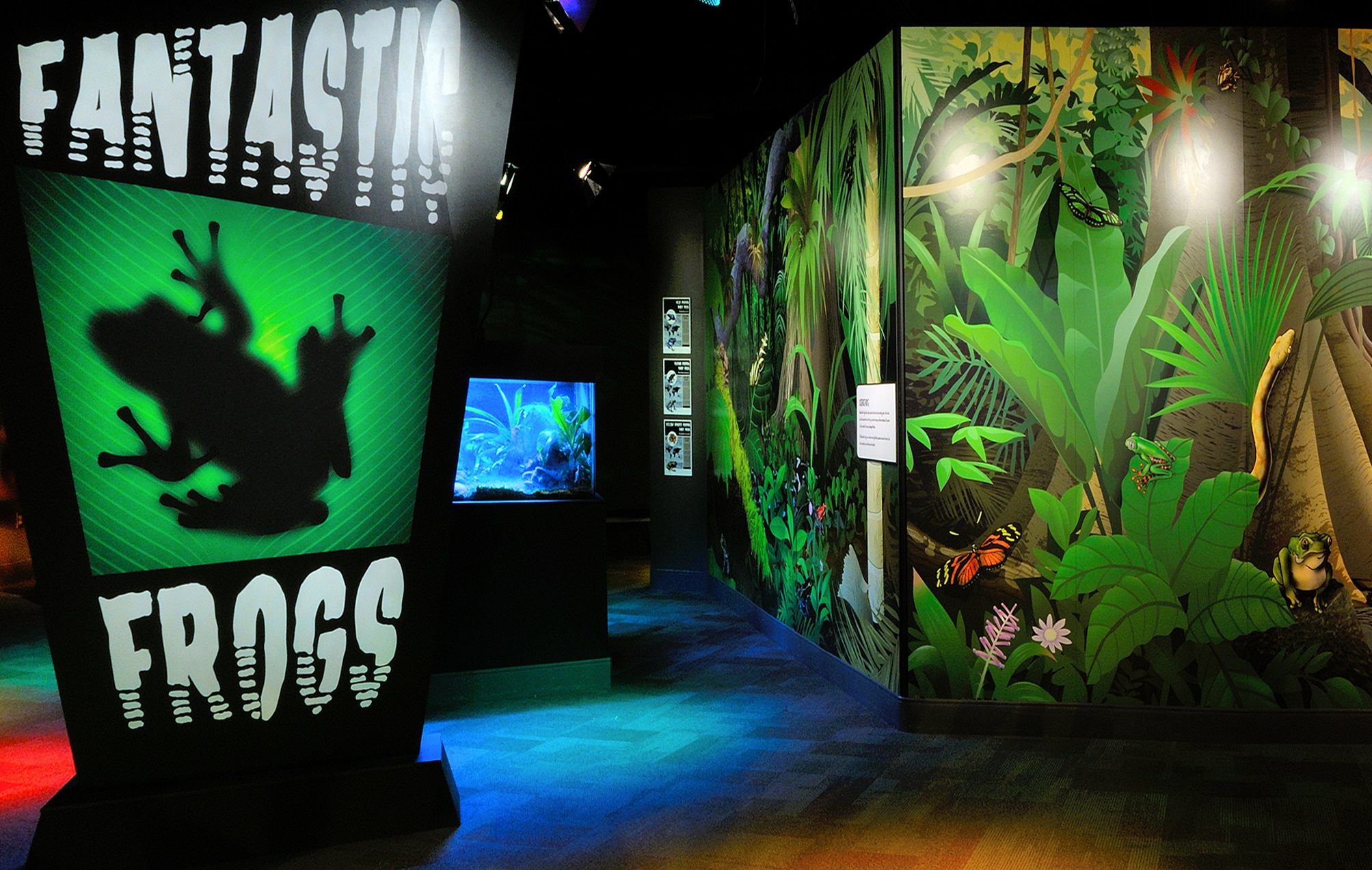 Fantastic Frogs - Discovery Place Science Museum