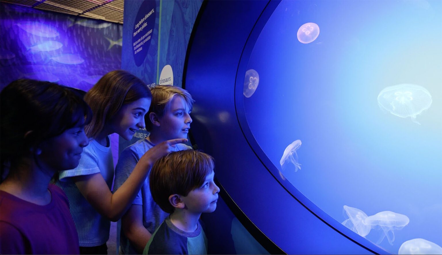 Classes Discovery Place Science Museum classes-discovery-place-science-museum