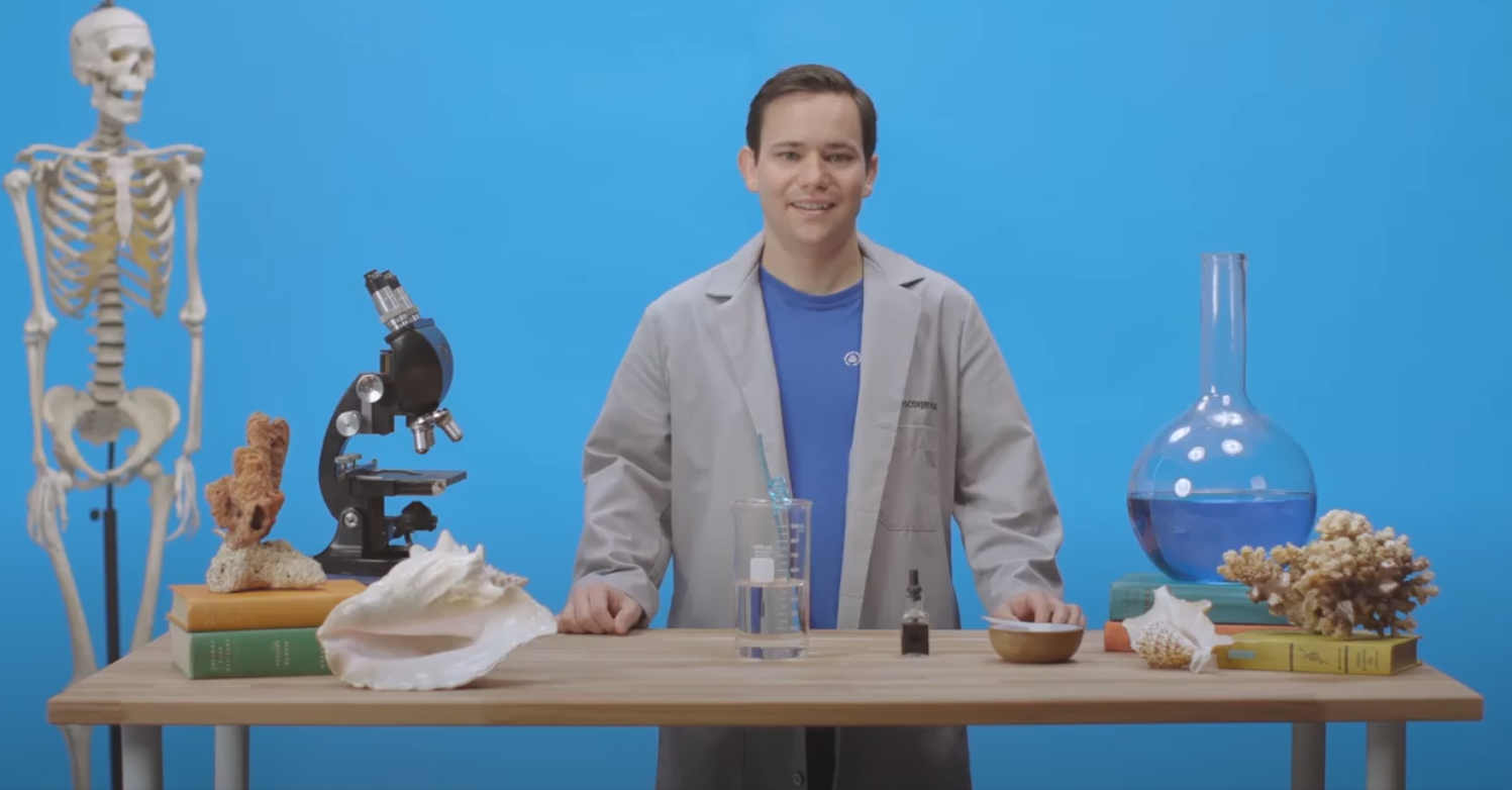 Wonder Lab: Bromothymol Blue - Discovery Place Science Museum