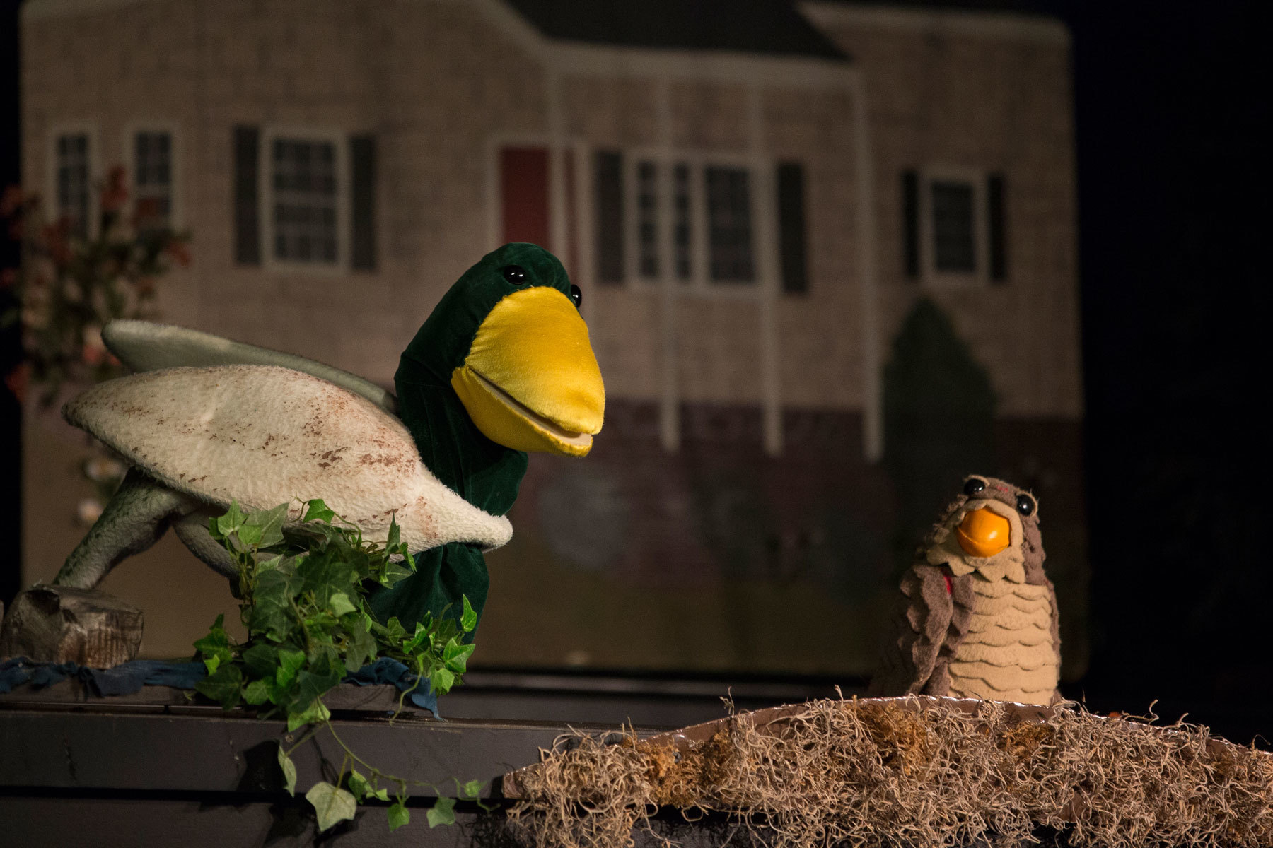 Carolina Morning Puppet Show - Discovery Place Science Museum