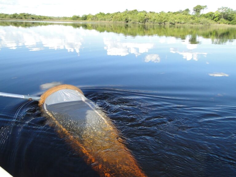 Plankton Net Build - Discovery Place Science Museum