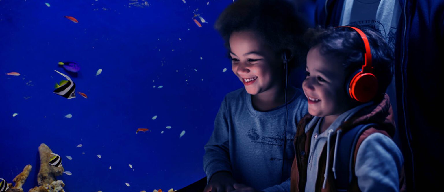 Accessibility - Discovery Place Science Museum