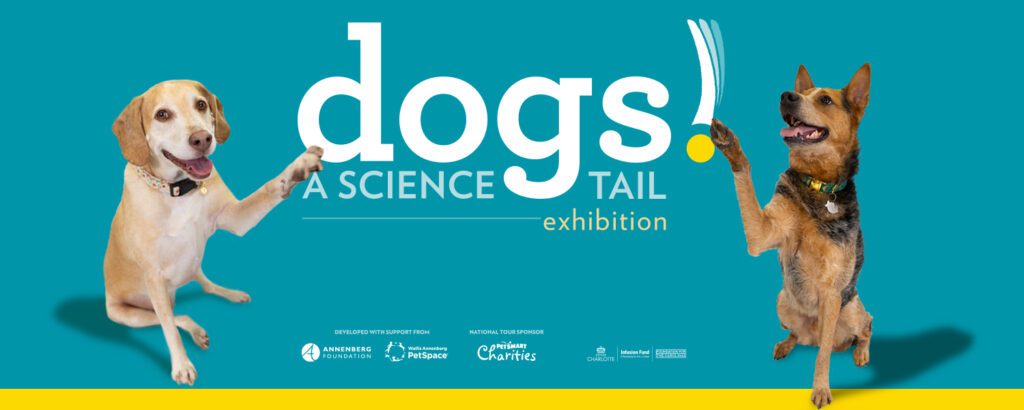 Home - Discovery Place Science Museum