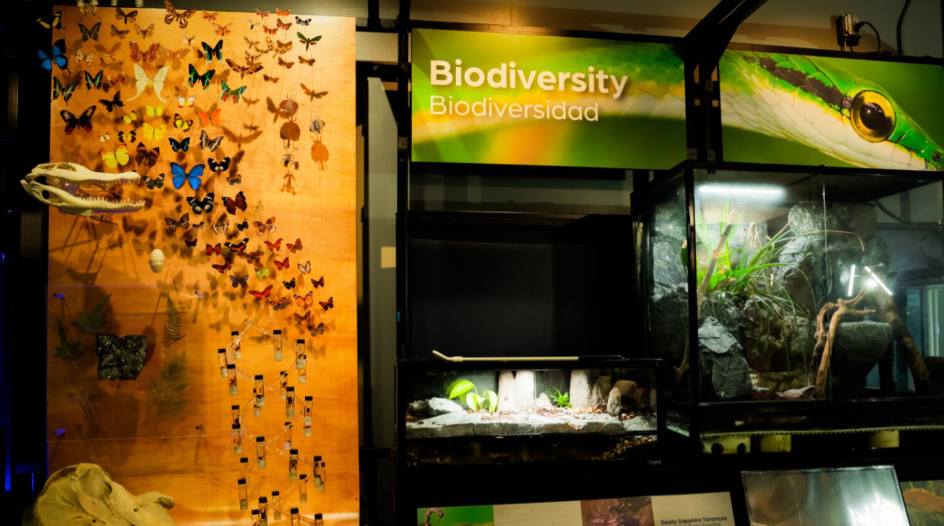 Living Planet Lab - Discovery Place Science Museum