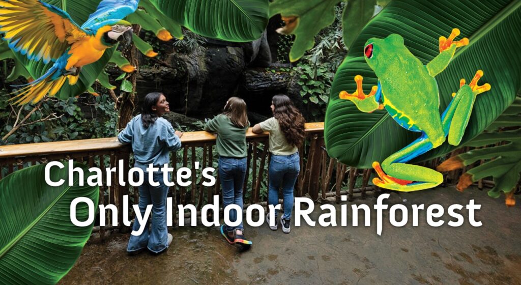 Discovery Place Science Museum – Charlotte's #1 for Family Fun and ...